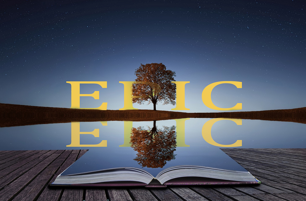 An EPIC Reflection. Excellence | by NWABUZOR CHUKWUEMEKA OBIORA | Medium