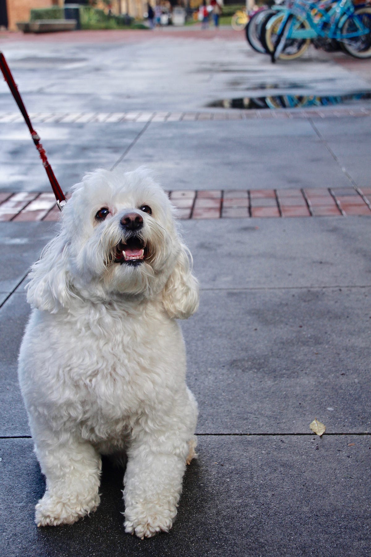 Class Photo Shoot | by Danning Huang | Medium