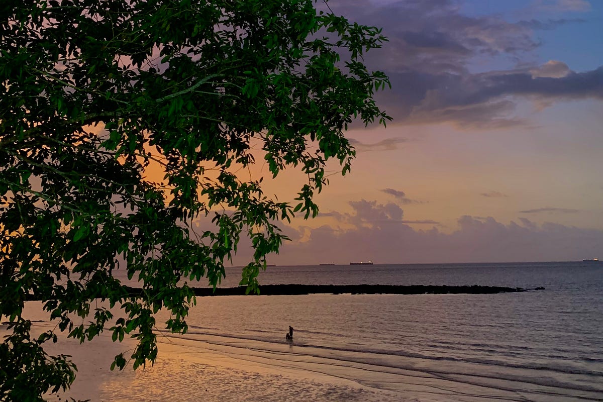 Divagando sobre os 30 | by Alice Amaro | Jul, 2024 | Medium