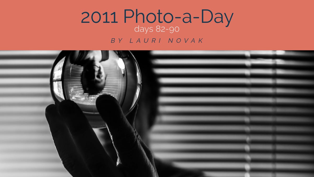 My 2011 Photo-A-Day Project. Days 82–90 | by Lauri Novak | Full Frame ...