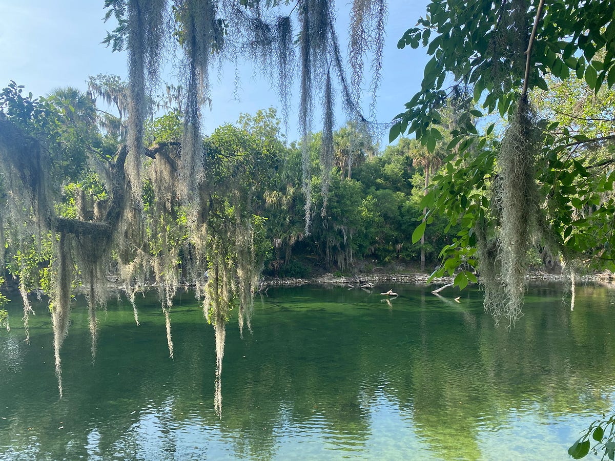 Discover the Hidden Gem of Florida: Blue Springs | by FAJ Creation ...