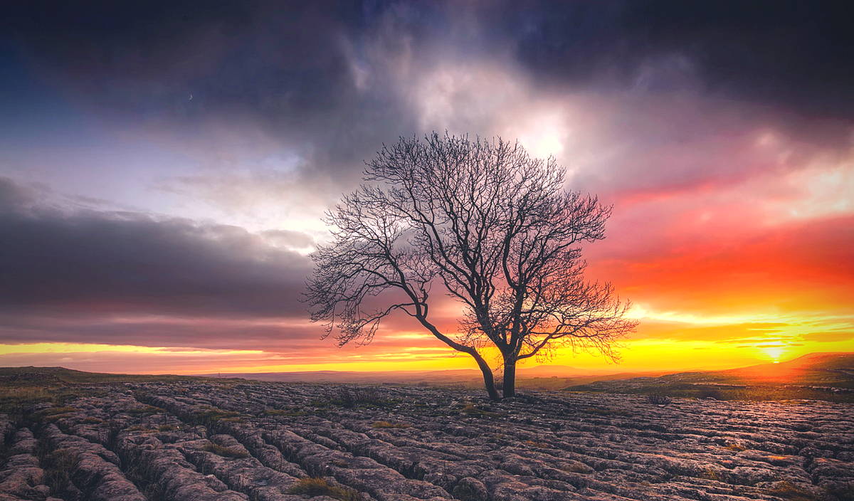 The Colors of Grief: Moving Beyond the Model | by Amy Paulson | Medium