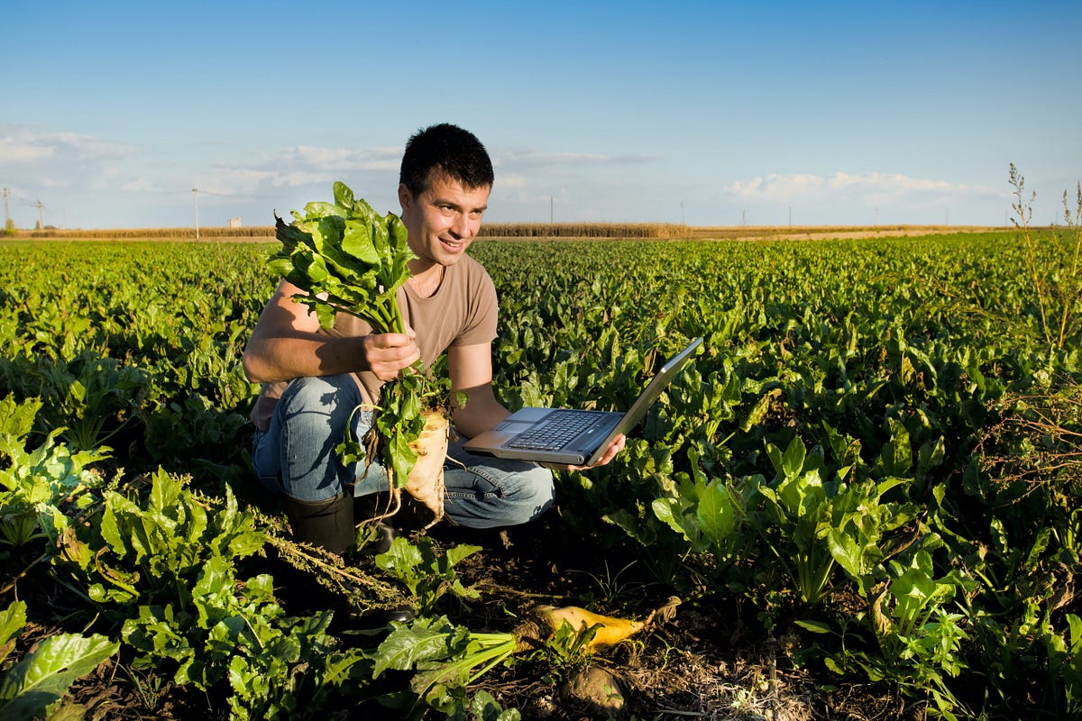 The Unsung Heroes: Understanding the Life and Challenges of Farmers ...