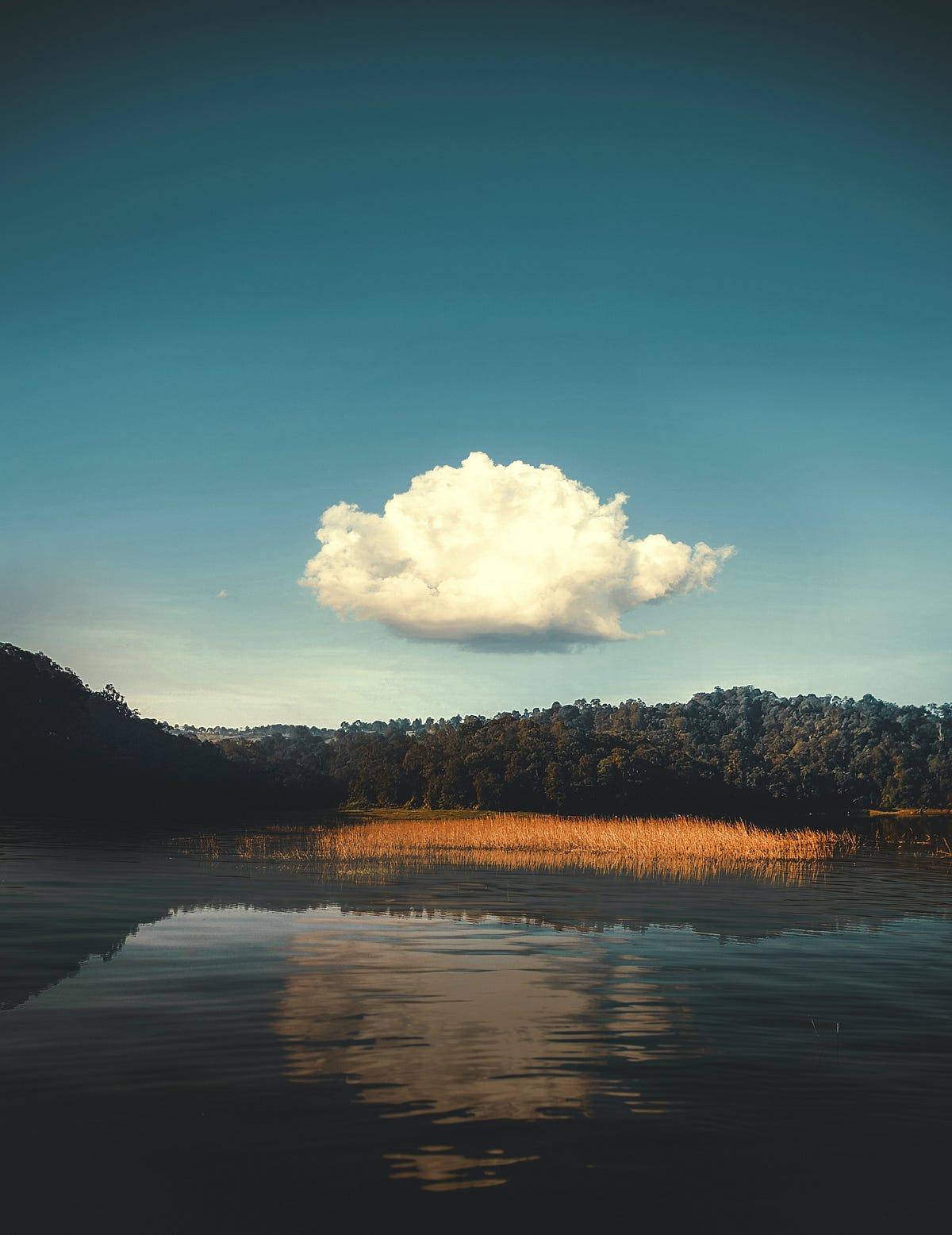 Monitoring and Observability in Cloud-Native Systems | by David | Java ...