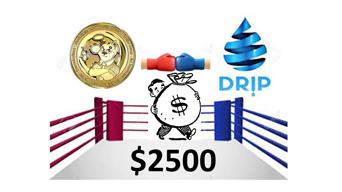SHIBA INU or DRIP : What is a better $2500 investment towards financial ...