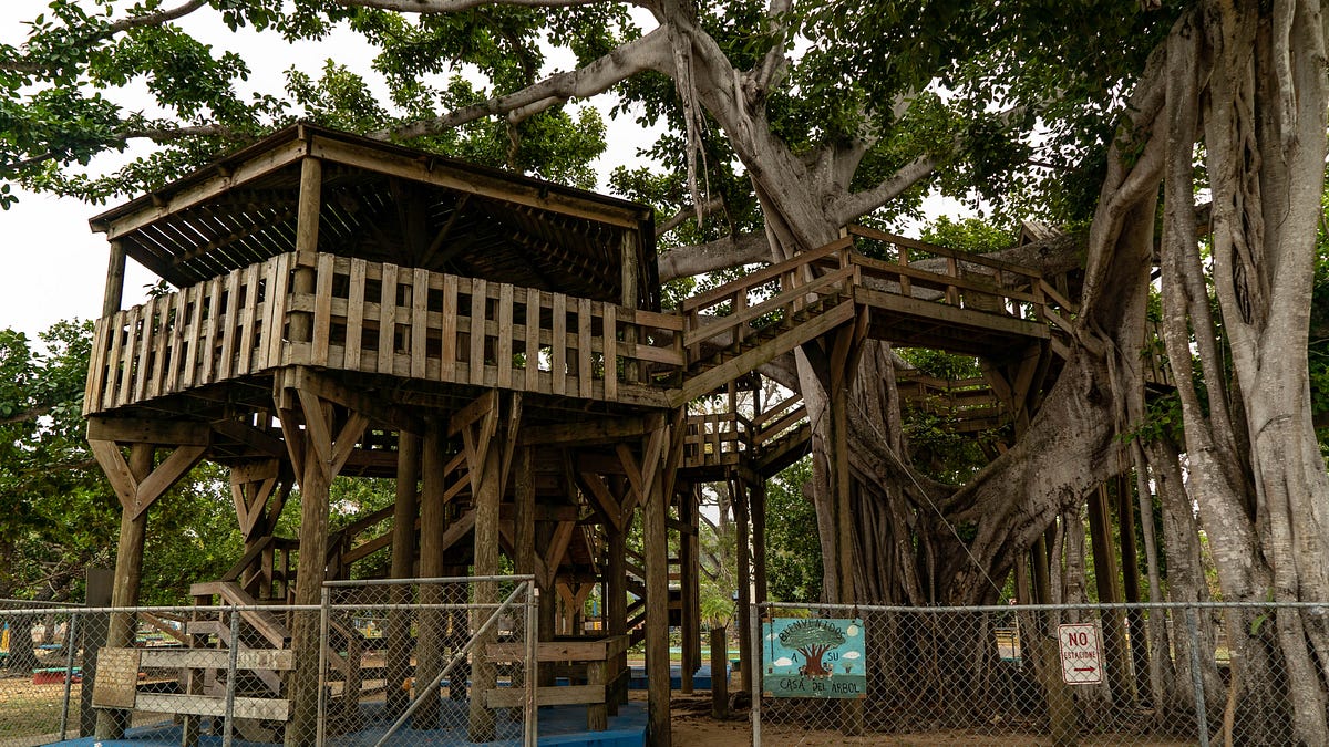 Places to visit in Puerto Rico’s northwest (other than the beach) | by ...