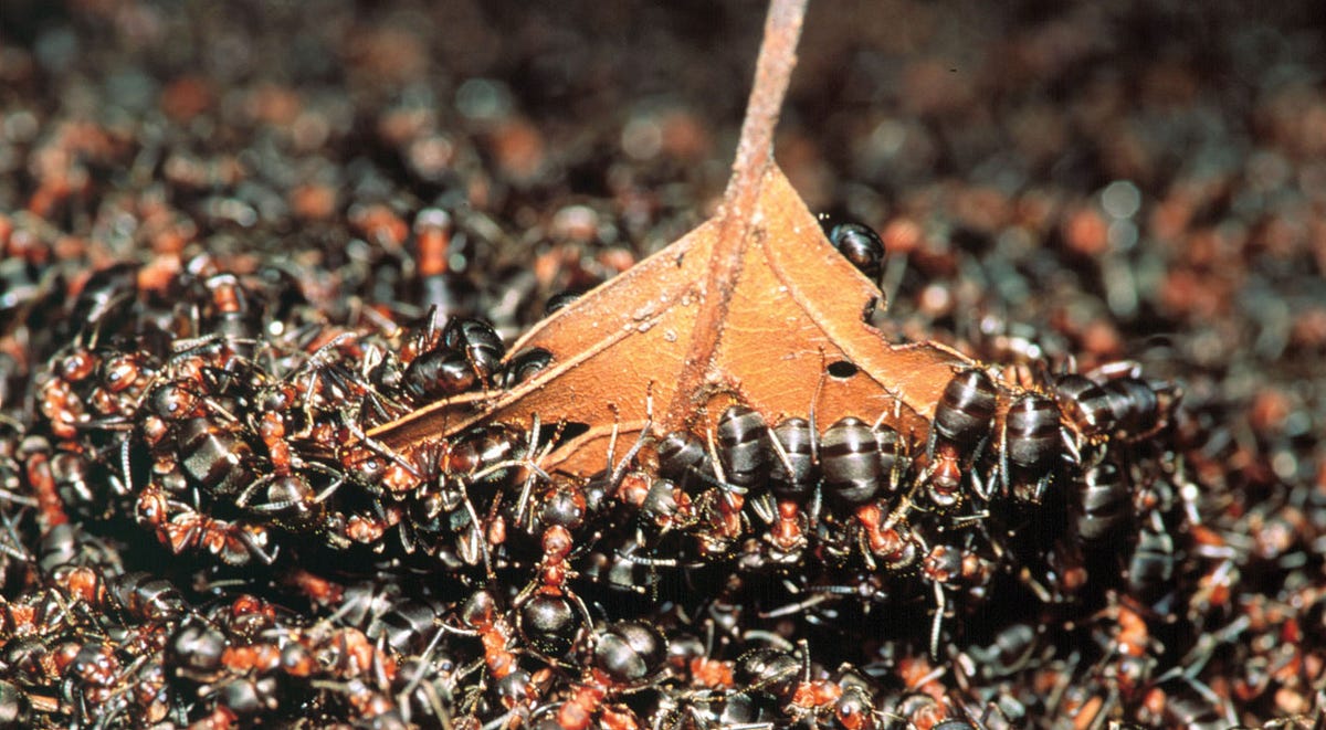 Symfony on Giant Swarm. This article describes how to run… | by Paul Seiffert | Medium