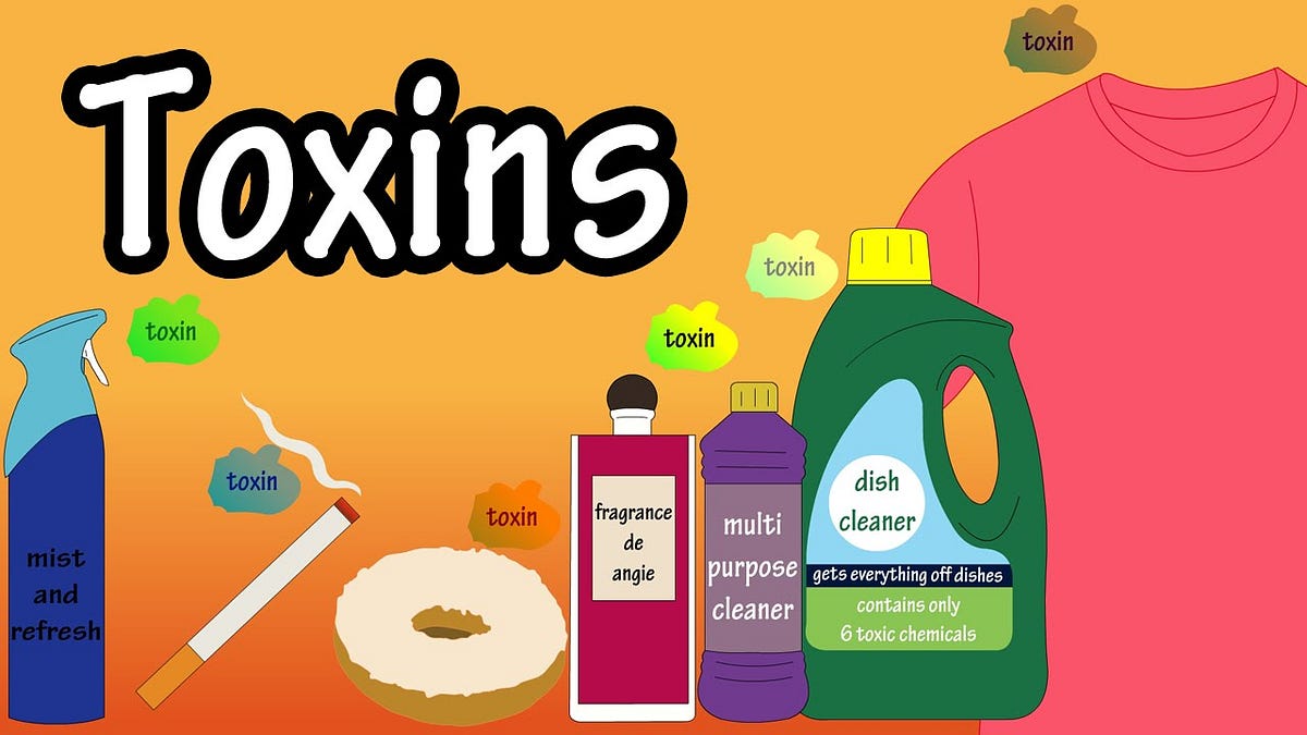 how toxins are removed in ayurveda? | by Susanimoser | Medium