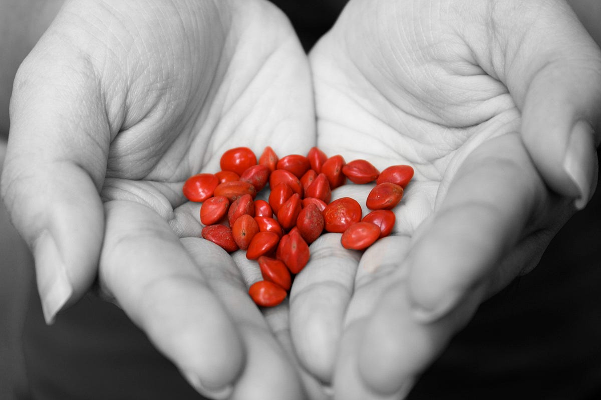 How to Effortlessly Pick Saga Seeds in Singapore and Impress a Girl ...