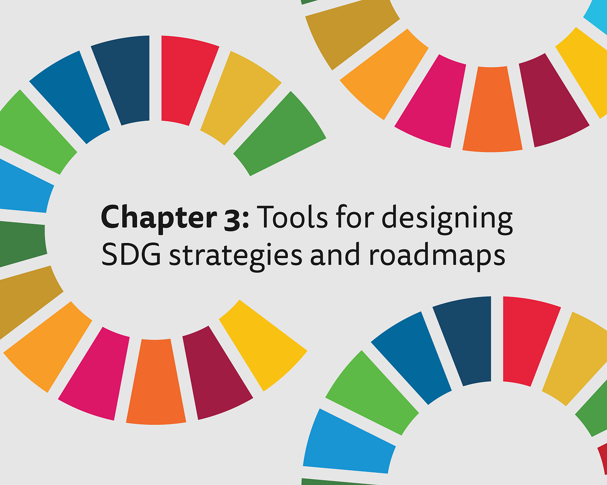 Chapter 3: Tools for designing SDG strategies and roadmaps | by UN SDSN ...