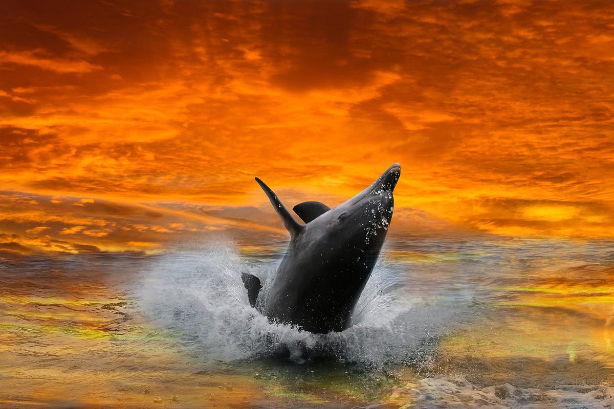 Embracing Cloud-Native for Apache DolphinScheduler with Kubernetes: a ...