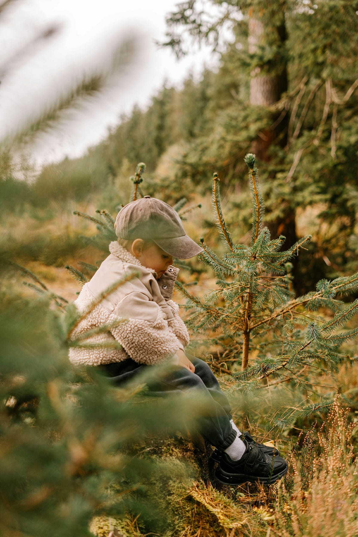 Absolute Basic Skills for Self-Reliance | by James Reeves | Apr, 2025 | Medium