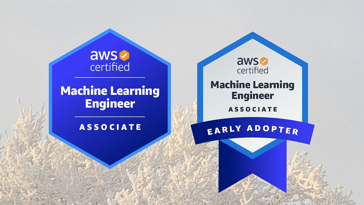 Passing the AWS Certified Machine Learning Engineer Associate Certification in 2025 | by Collin ...