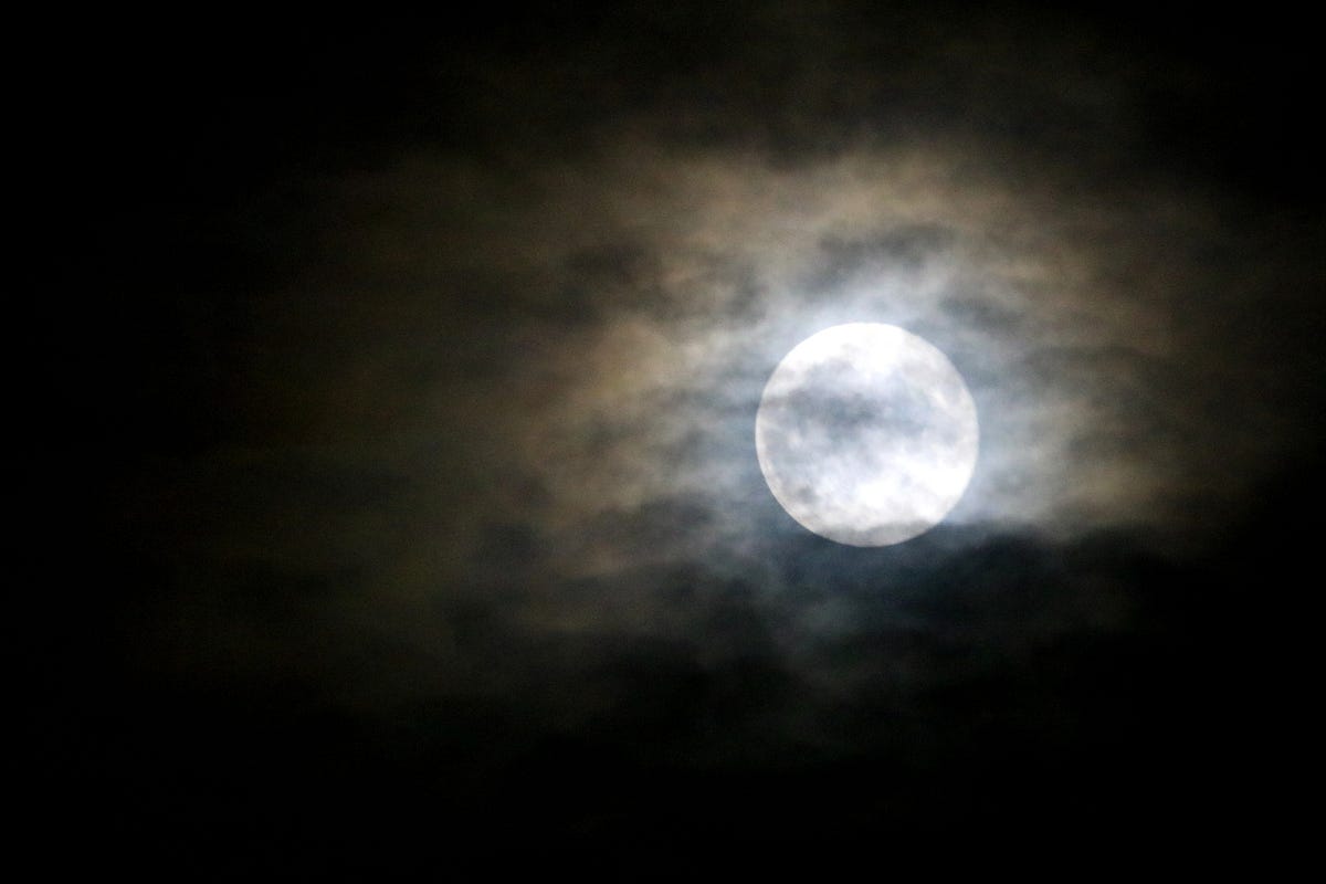 When the Moon Comes Out - The Daily Cuppa - Medium