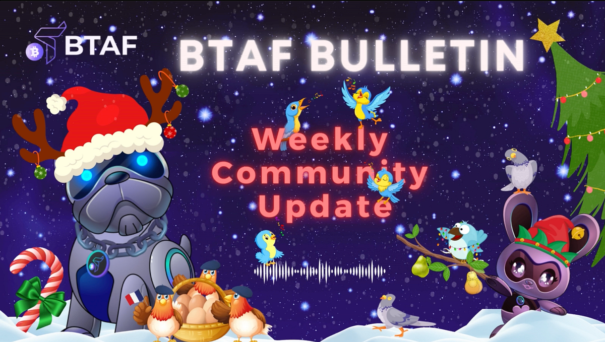 🕊 BTAF token weekly bulletin #47–24 November 2023 | by BTAF token | Medium