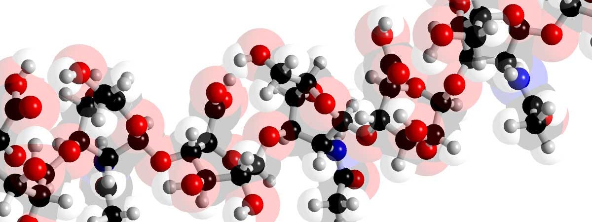 PROTEIN FAMILY CLASSIFICATION USING THE DEEP LEARNING MODELS | by ...
