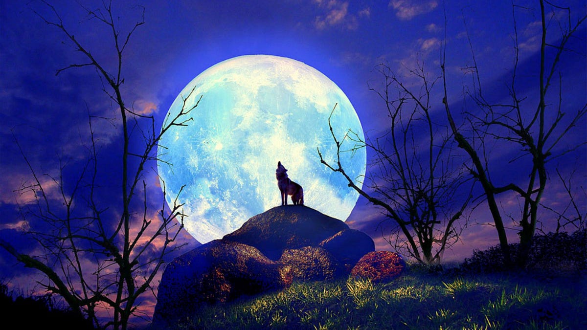 Why anxiety & fear are as important to your health, as the Moon is to ...
