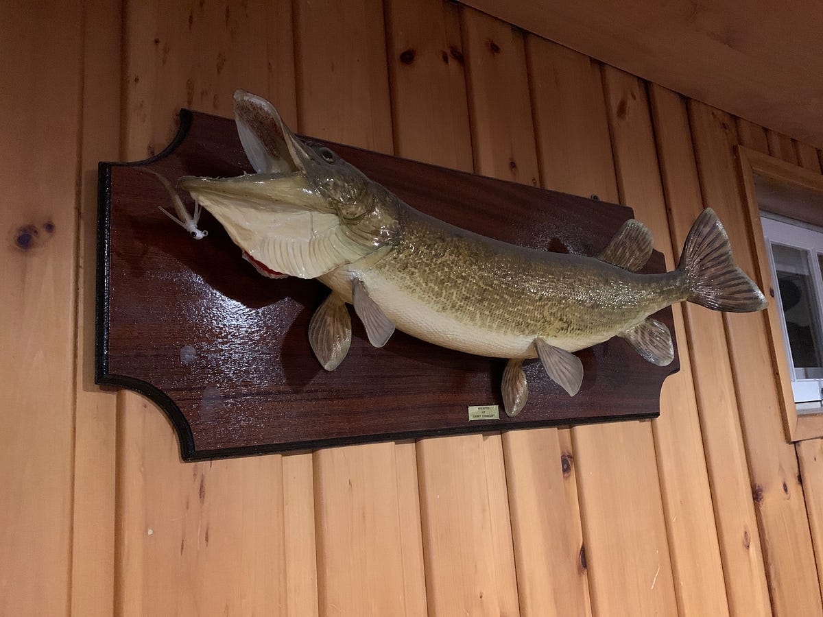 Maurice “The Rocket” Richard. He was fierce, flamboyant, tempestuous ...