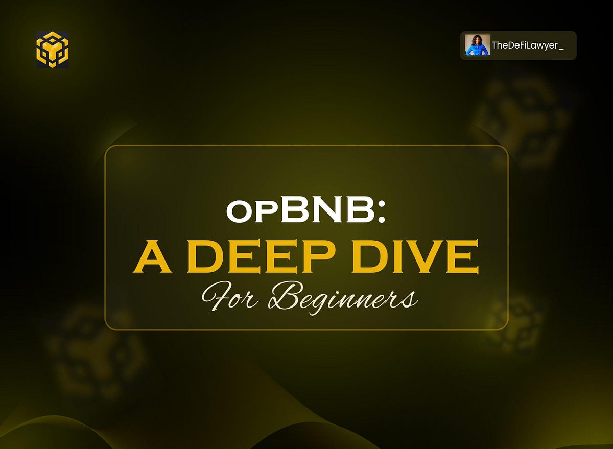 Everything You Need to Know About the Emerging opBNB Chain | by ...