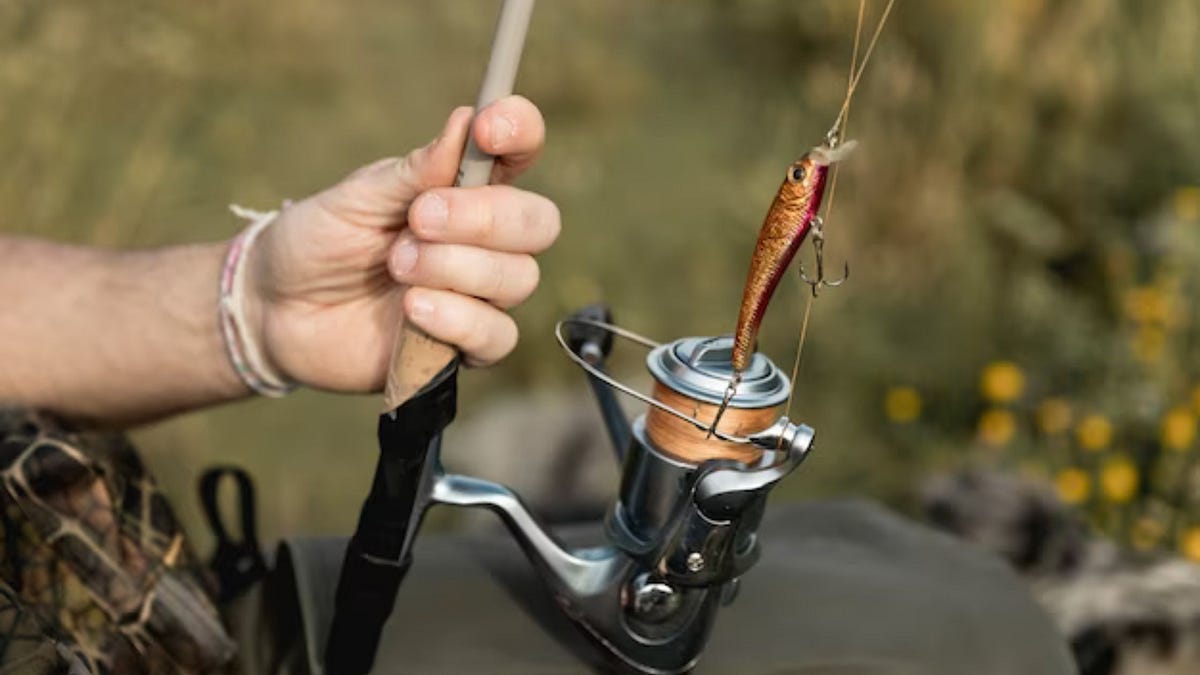 Mastering Hook Baits for Carp: Expert Tips from Seasoned Anglers | by ...