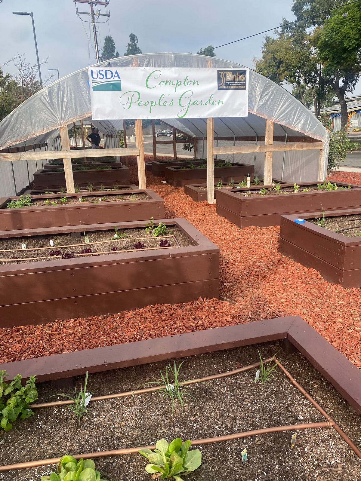 Alias Notes from The Field. On Wednesday. October 5th. I traveled… | by ...