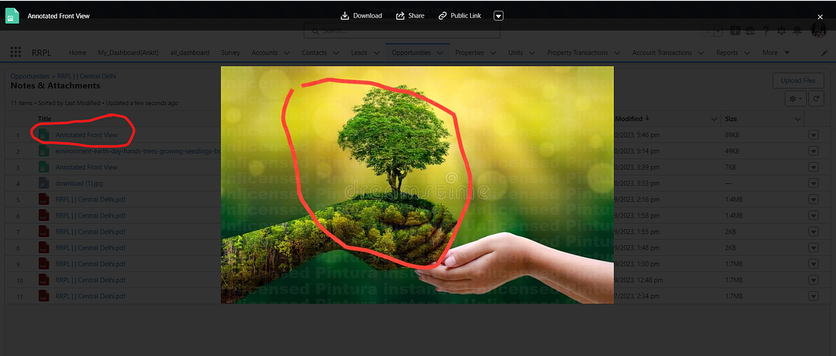 How to Annotate Image using Pintura and Visualforce Page | by Sanjana Das | Medium