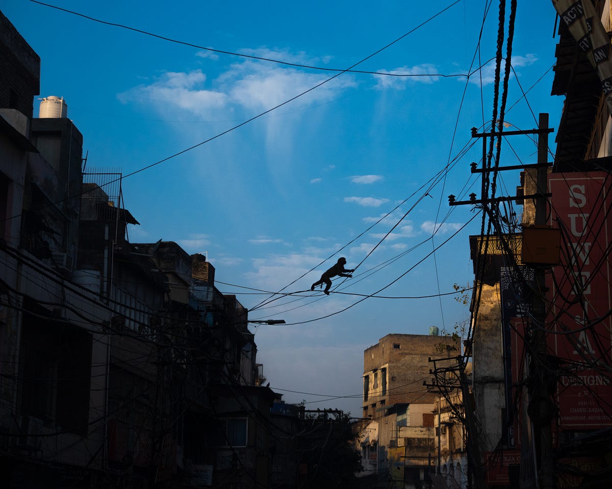 Stop Chasing the “National Geographic” Shot | by Shikhar | Full Frame ...
