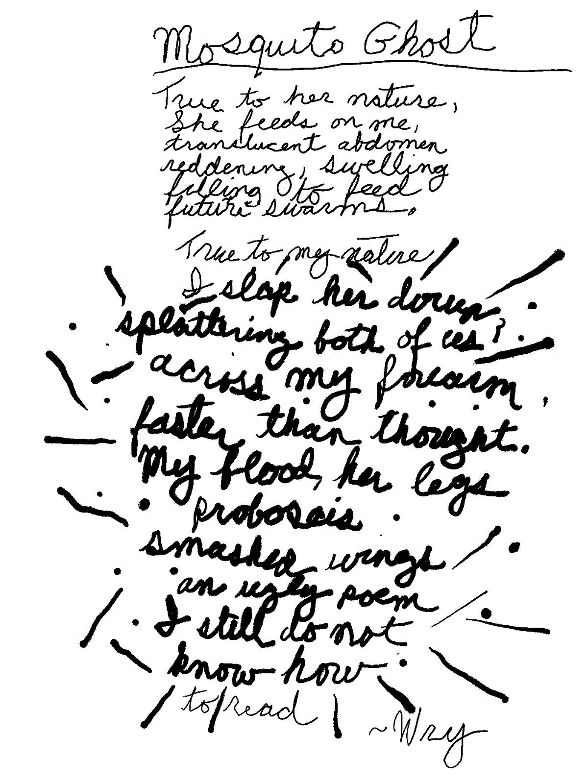 Mosquito Ghost - Paper Poetry - Medium