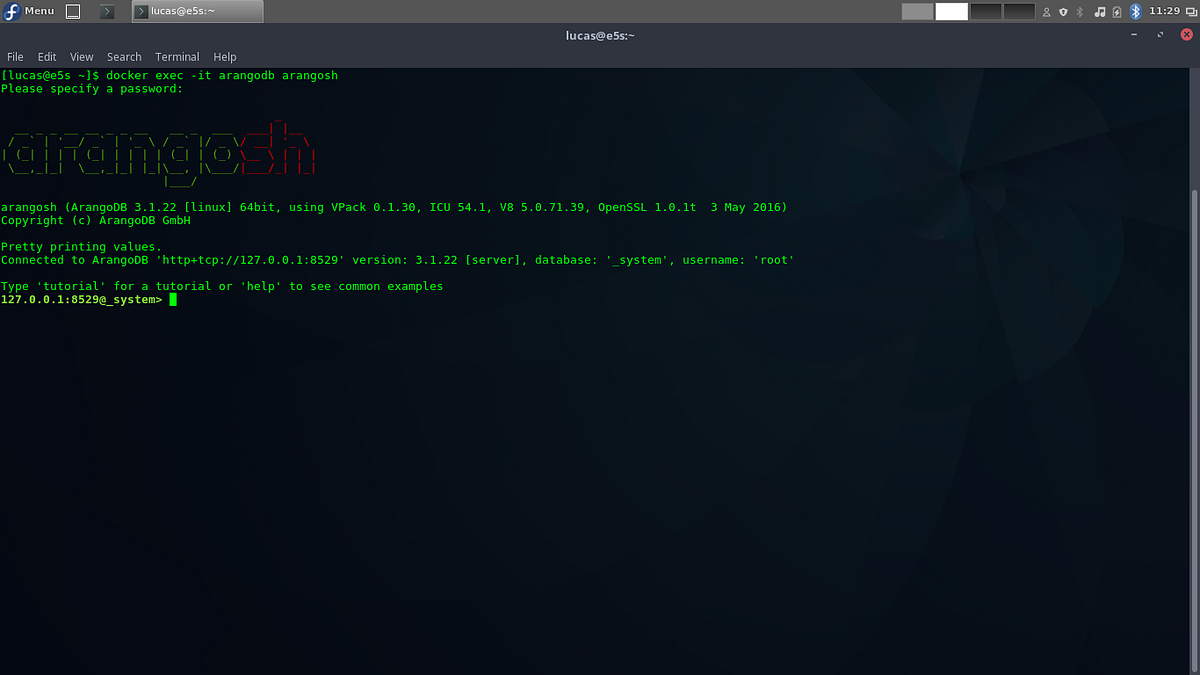 Usando ArangoDB no Docker. O Docker é hoje uma tendência muito… | by Lucas de Souza Vieira | Medium