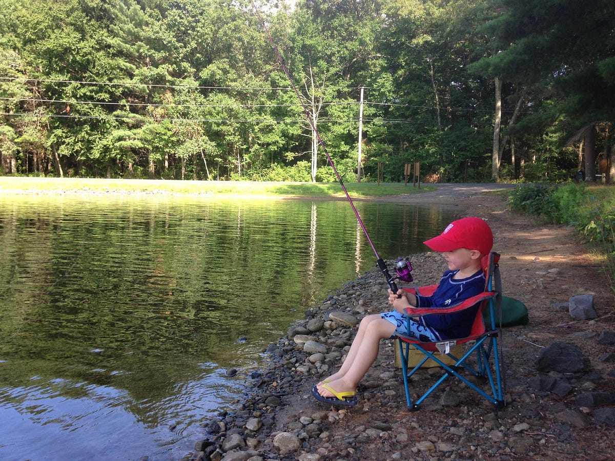 Do You Phish Often?. It’s not a “phishing test,” it’s… | by Robert A ...