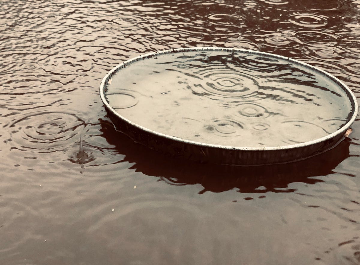 Infinity in a Raindrop. Seeing beyond current science to the… | by ...