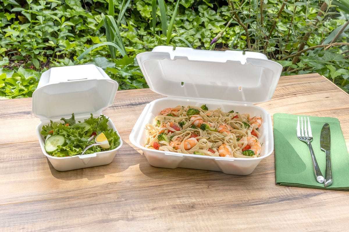 Guide To Keeping Your Food Fresh And Delicious With Disposable ...