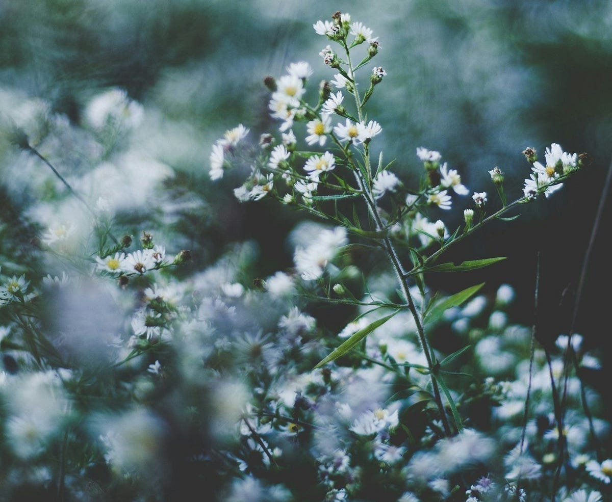 Give in to Win. A mystic must let go to grow | by Cormac Stagg | Mystic Minds | Jan, 2026 | Medium
