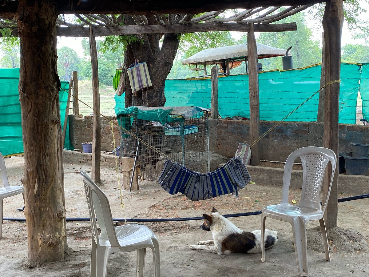 Lessons on Human-Nature Coexistence from a Remote Village in India | by ...
