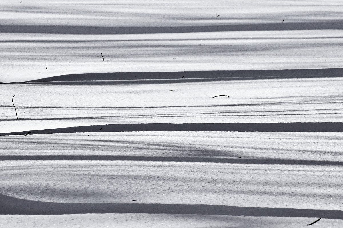 A Page In The Snow Book By Anna Hoff | by Goat | Scene & Heard (SNH ...