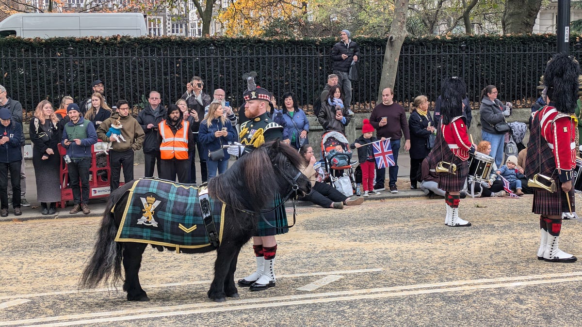 The Shetland Pony Mascot. With a very important role | by Ella Read ...