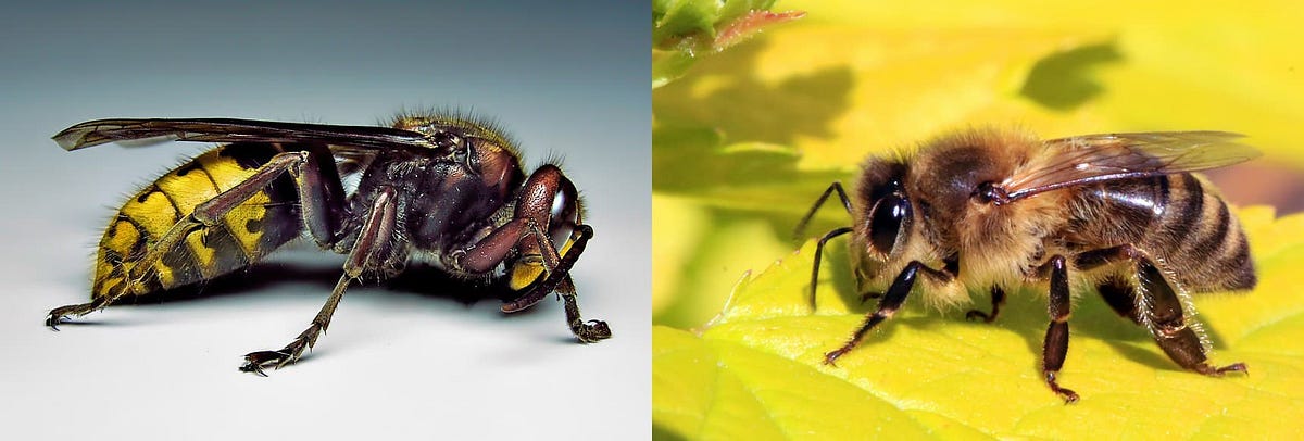 Node Modules at War: Why CommonJS and ES Modules Can’t Get Along | by ...