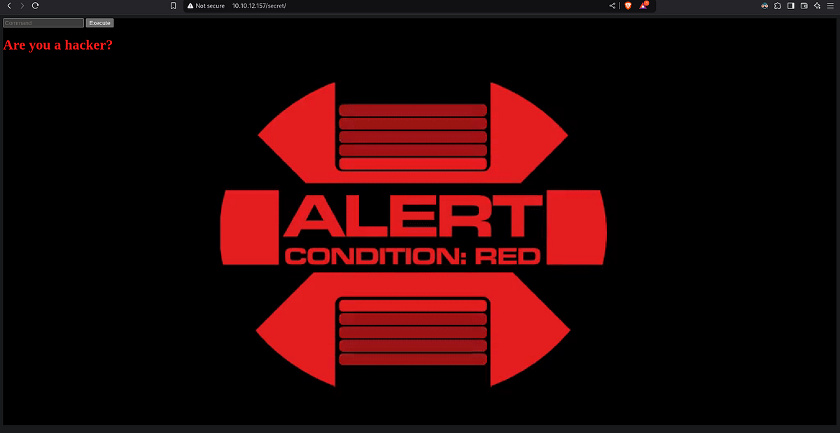 chill hack. A writeup for the tryhackme room chill… | by dedfish404 | Jan, 2025 | Medium
