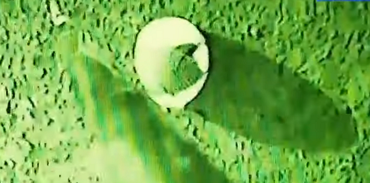 Internet Divided As ‘Egg Craft” Retrieval Video Airs On TV | by ...