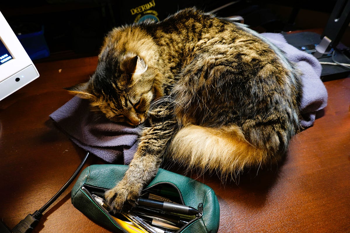 5 High-Tech Gadgets to Elevate Your Daily Micro-Mindfulness Routine ...