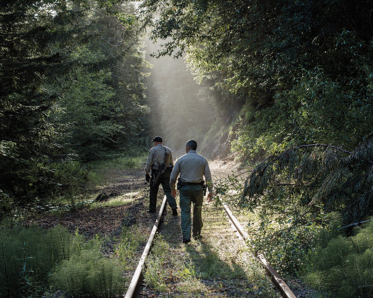 The Man in the Woods. An epic manhunt for a murderer in the… | by ...