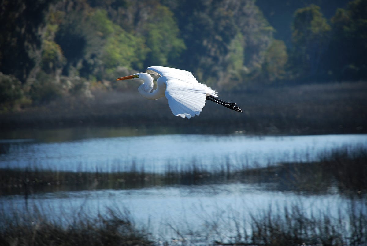The Small Town Circle: Getting out of town for the day and riding the ...