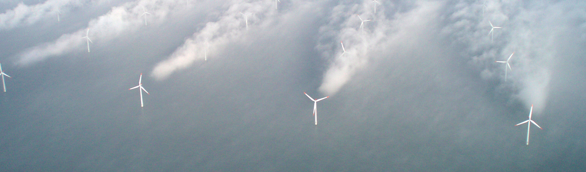 Fish School Us on Wind Power. Record-efficiency turbine farms are… | by ...