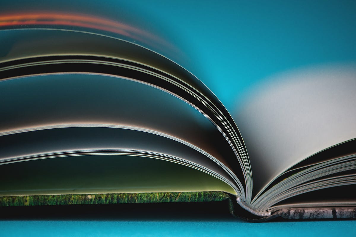 The Book Publishing Process From a Beginner’s Perspective | by Libby ...