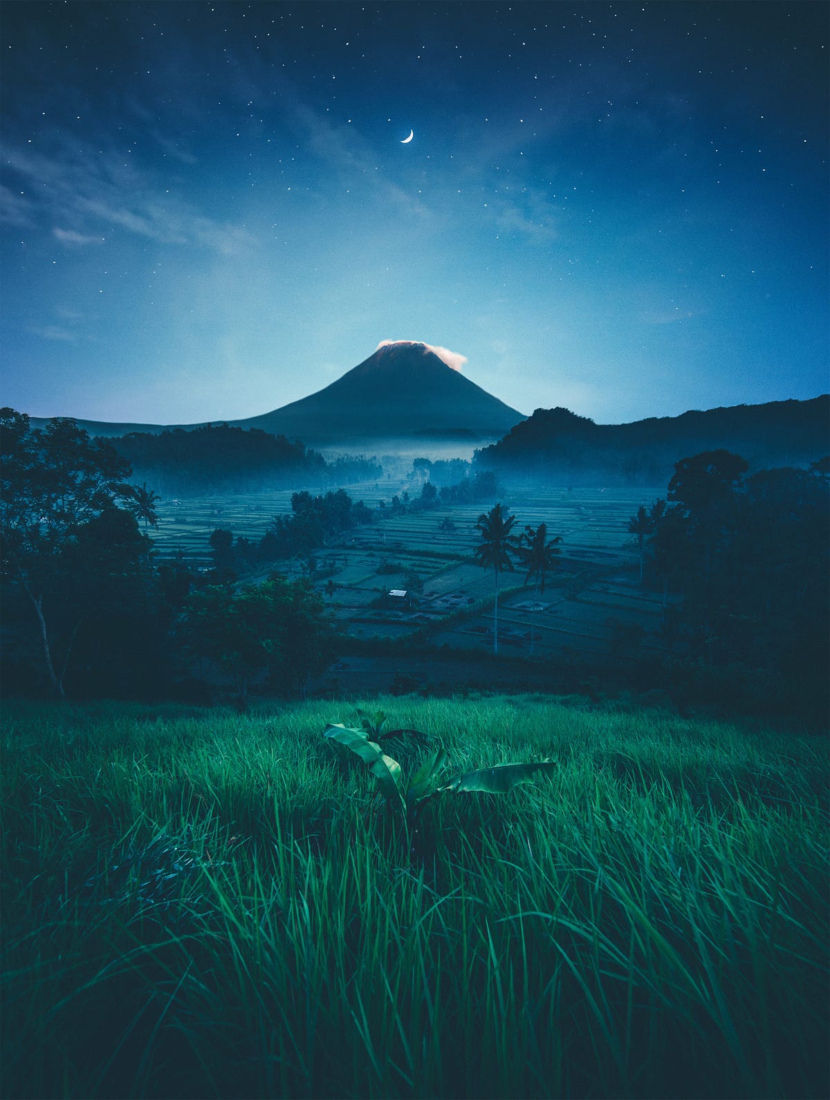 The Quiet Moon - American Haiku - Medium