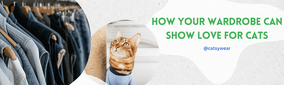 Fashion with a Purpose: How Your Wardrobe Can Show Love for Cats | by ...