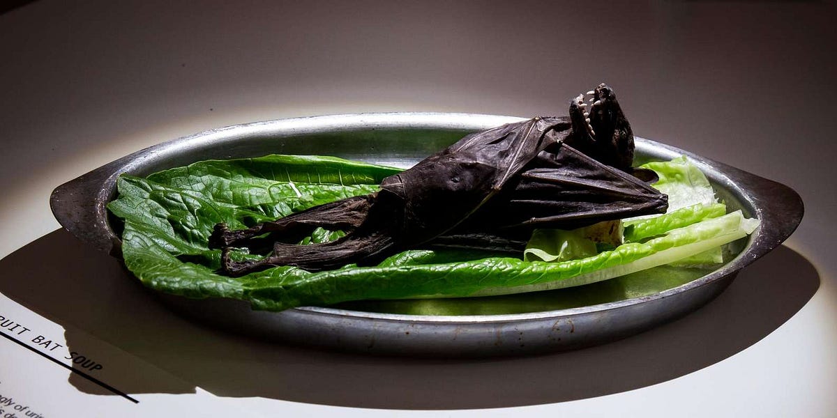 Disgusting Food Museum: Dare to Explore the World’s Most Unappetizing ...
