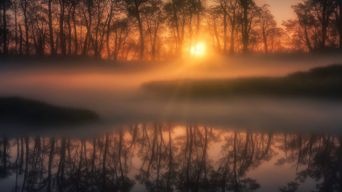 Find the Guiding Star. A poem on moving through challenges… | by ...