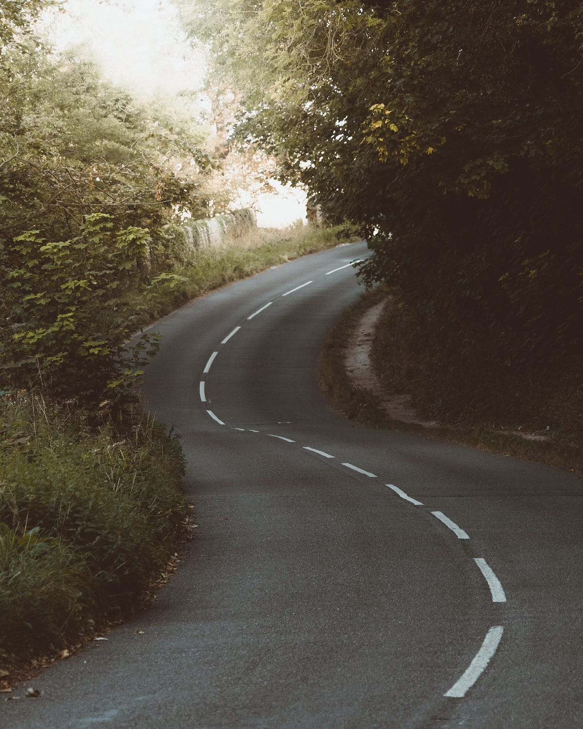 On The Road. “Where do we come from? What are we… | by Gregory Gilbert ...