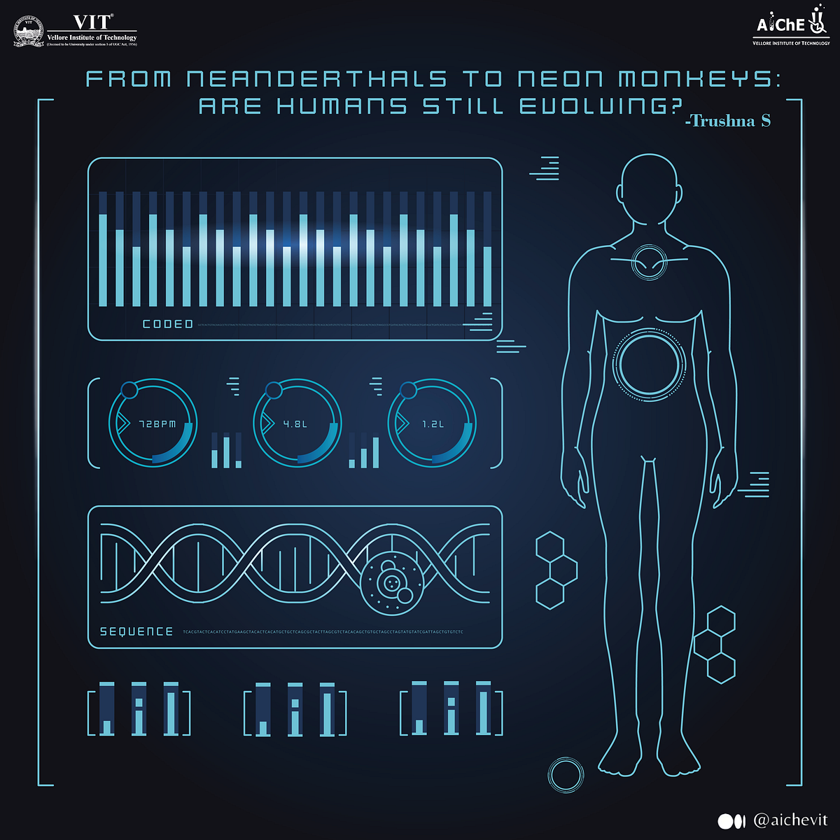 From Neanderthals To Neon Monkeys: Are Humans Still Evolving? | by ...